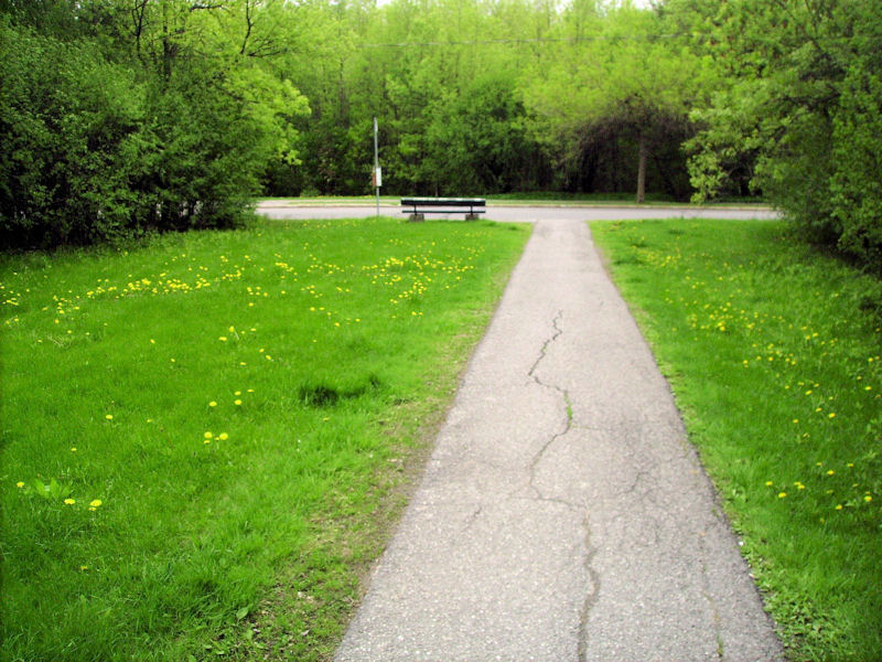 Poets' Pathway|Walk 8: Heron Road to Pleasant Park Woods